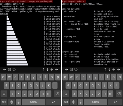 a-Shell: A Multiple Windows Terminal App for iOS