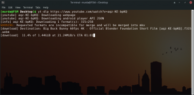 Use yt-dlp with MPV player